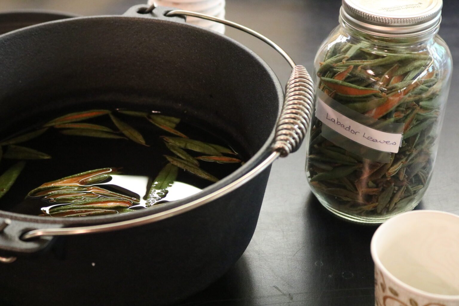 Spring Medicine Camp 2025 – Anishinabek Educational Institute